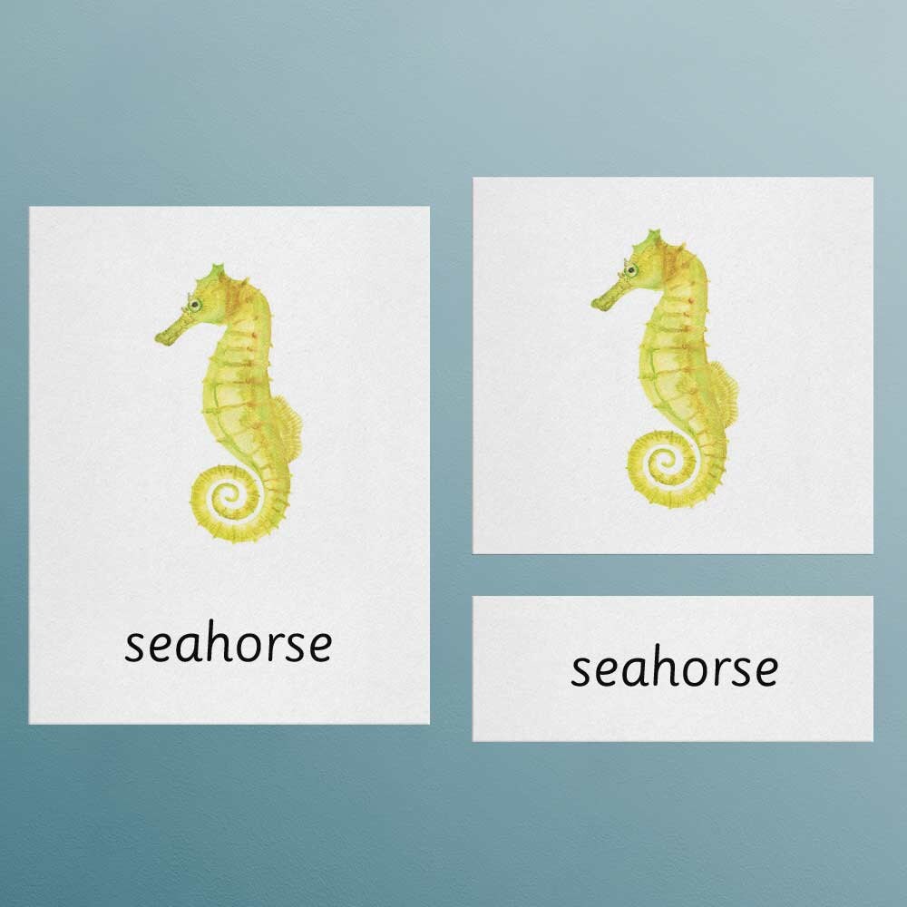 3-part Cards: Marine Vertebrates (printable PDF) - Etsy