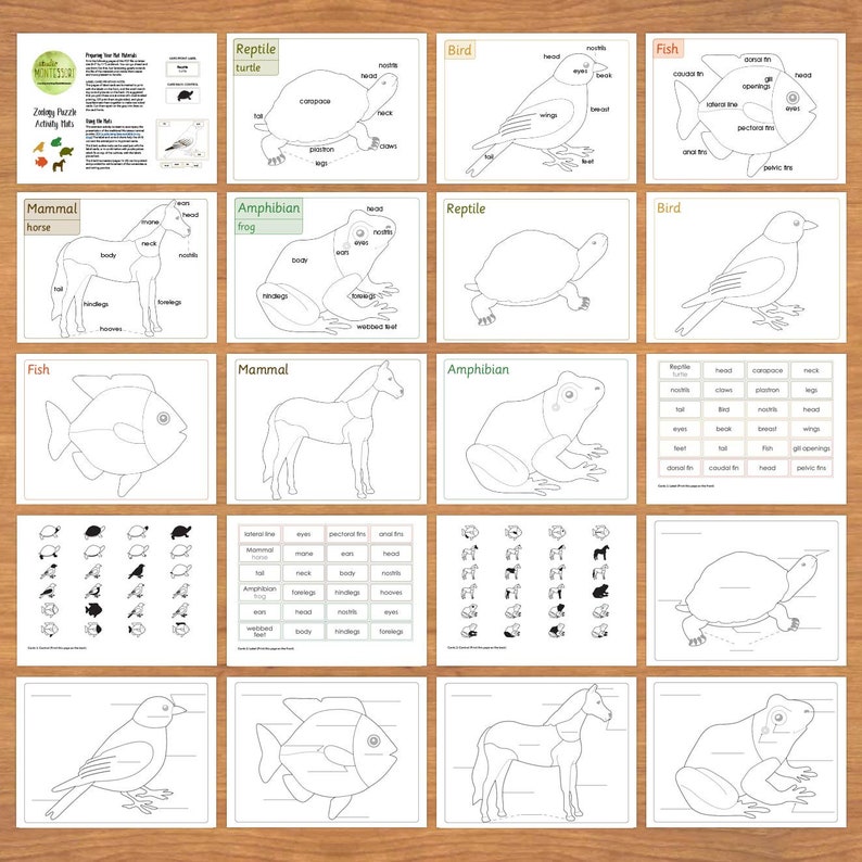 DIY Zoology Puzzle Activity Mats printable PDF - Etsy
