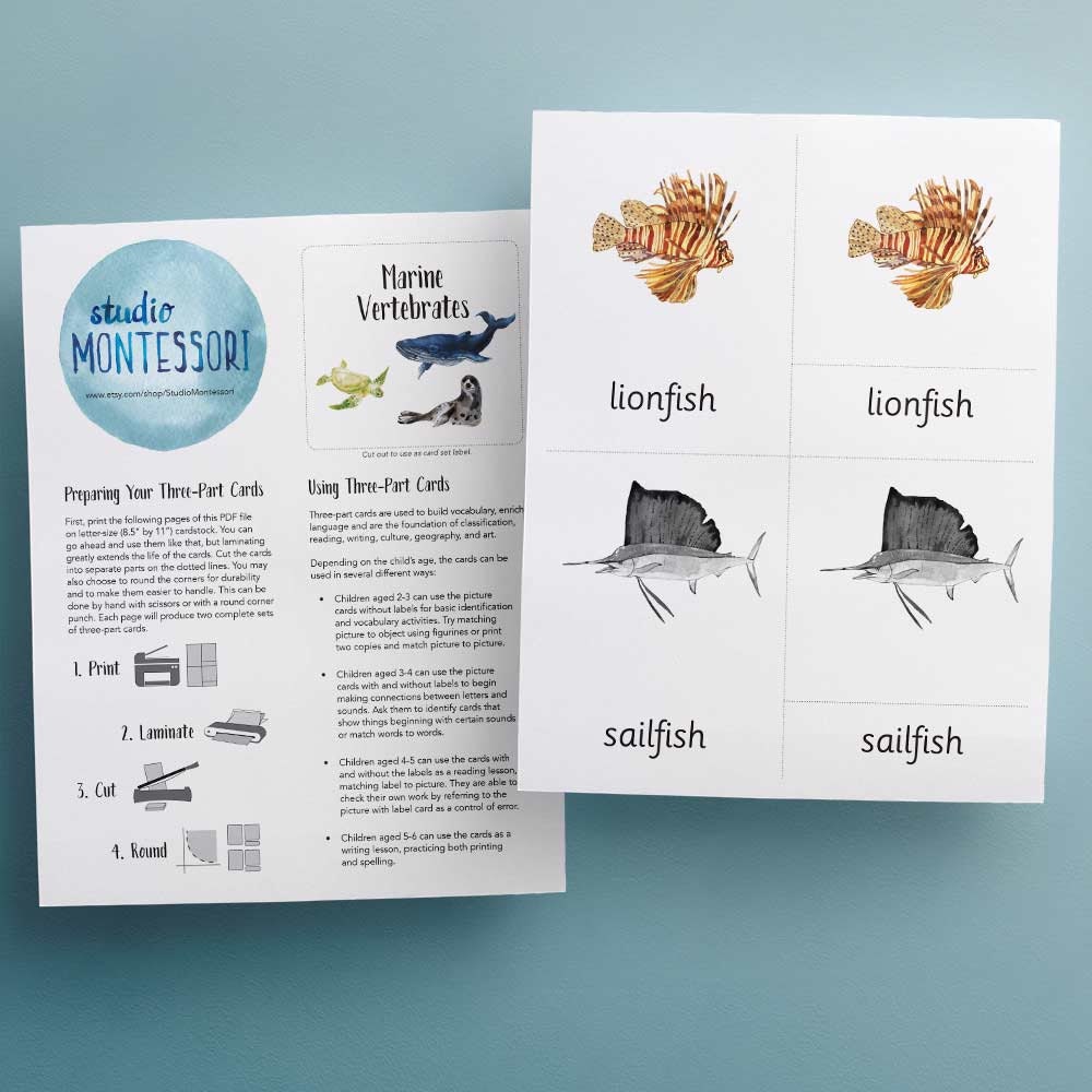 3-part Cards: Marine Vertebrates (printable PDF) - Etsy