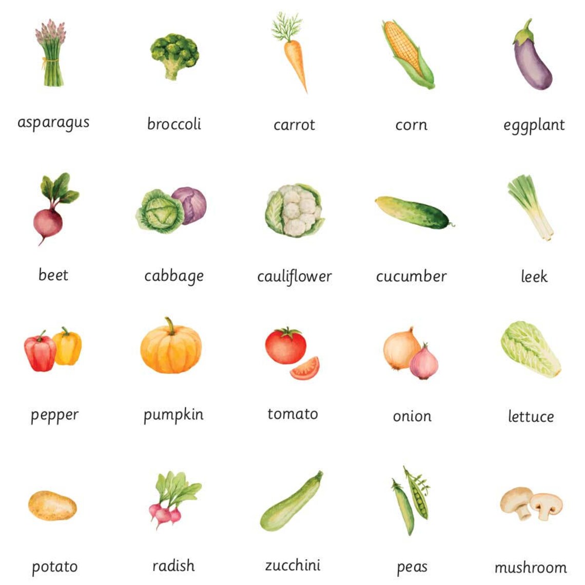 3-part Cards: Vegetables (printable PDF) - Etsy