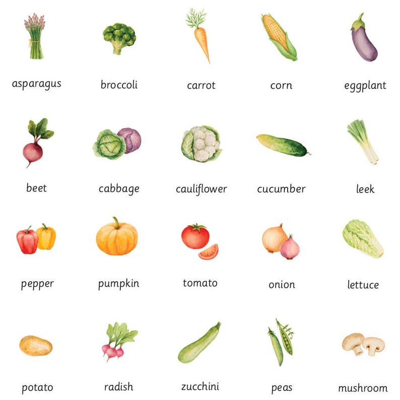 3-part Cards: Vegetables (printable PDF) - Etsy