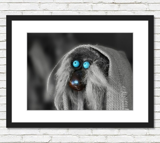 Blue-eyed Troll Photo Art Print - Etsy