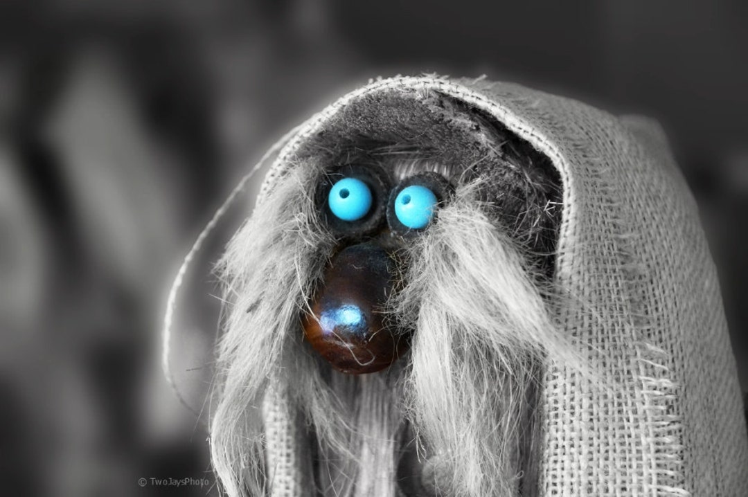 Blue-eyed Troll Photo Art Print - Etsy