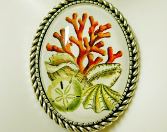 Seashell Sea Shell Coral Sand Dollar Art Print Set of 4 | Etsy