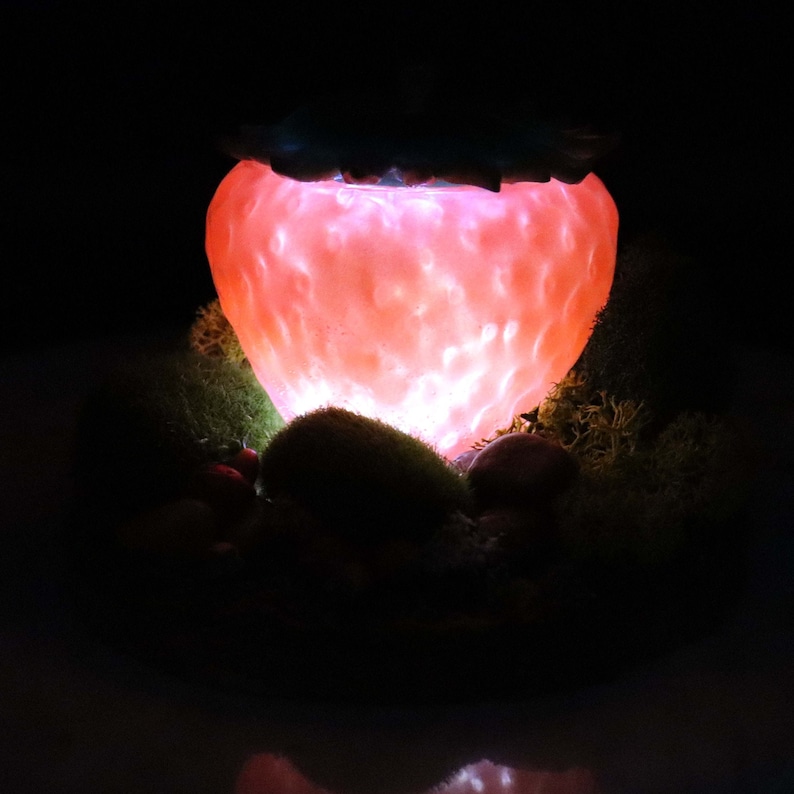 Light up Strawberry Mini Garden - Etsy