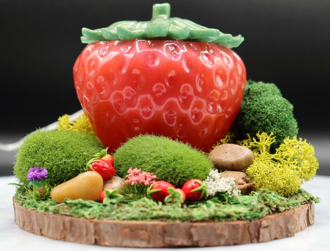 Light up Strawberry Mini Garden - Etsy