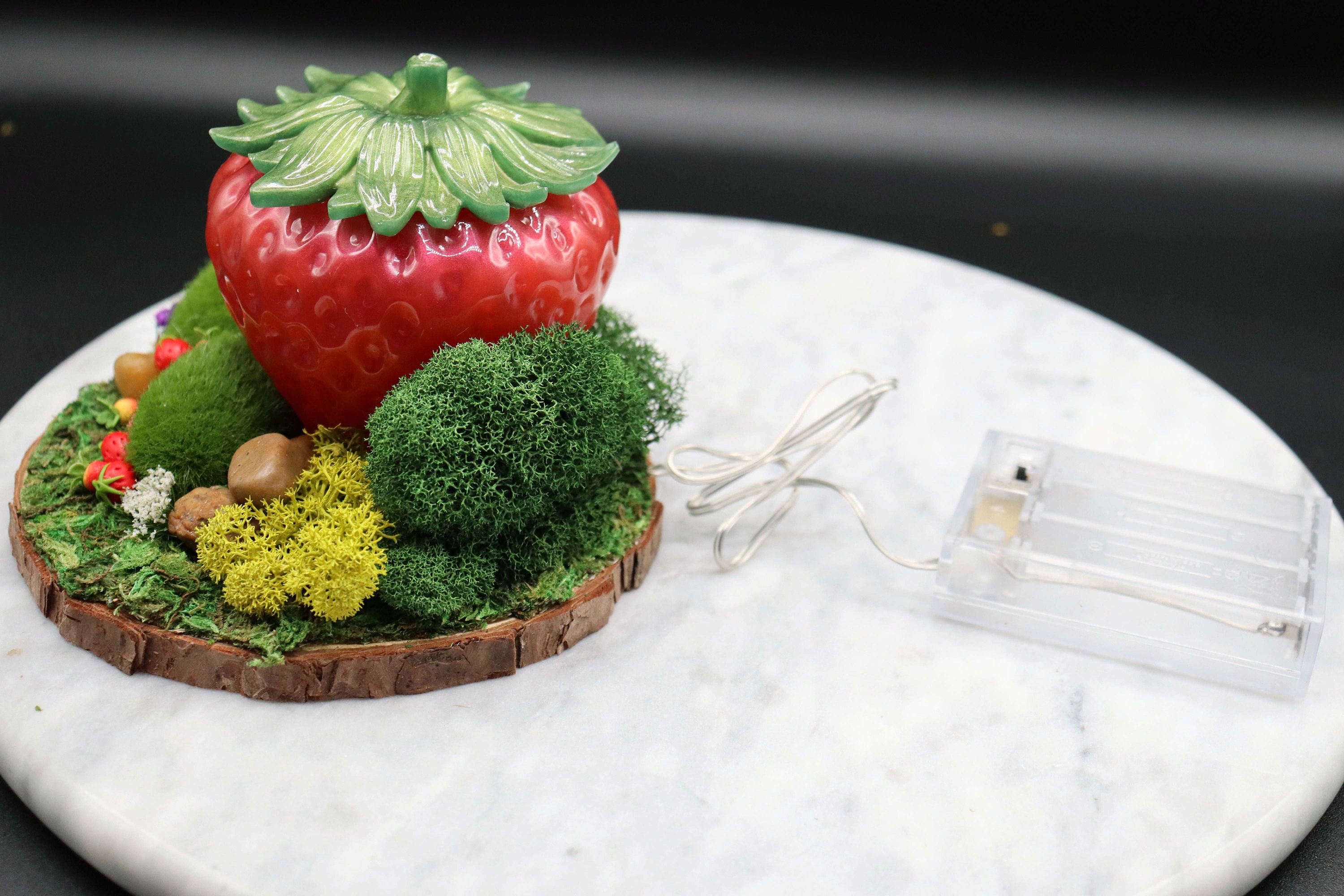 Light up Strawberry Mini Garden - Etsy
