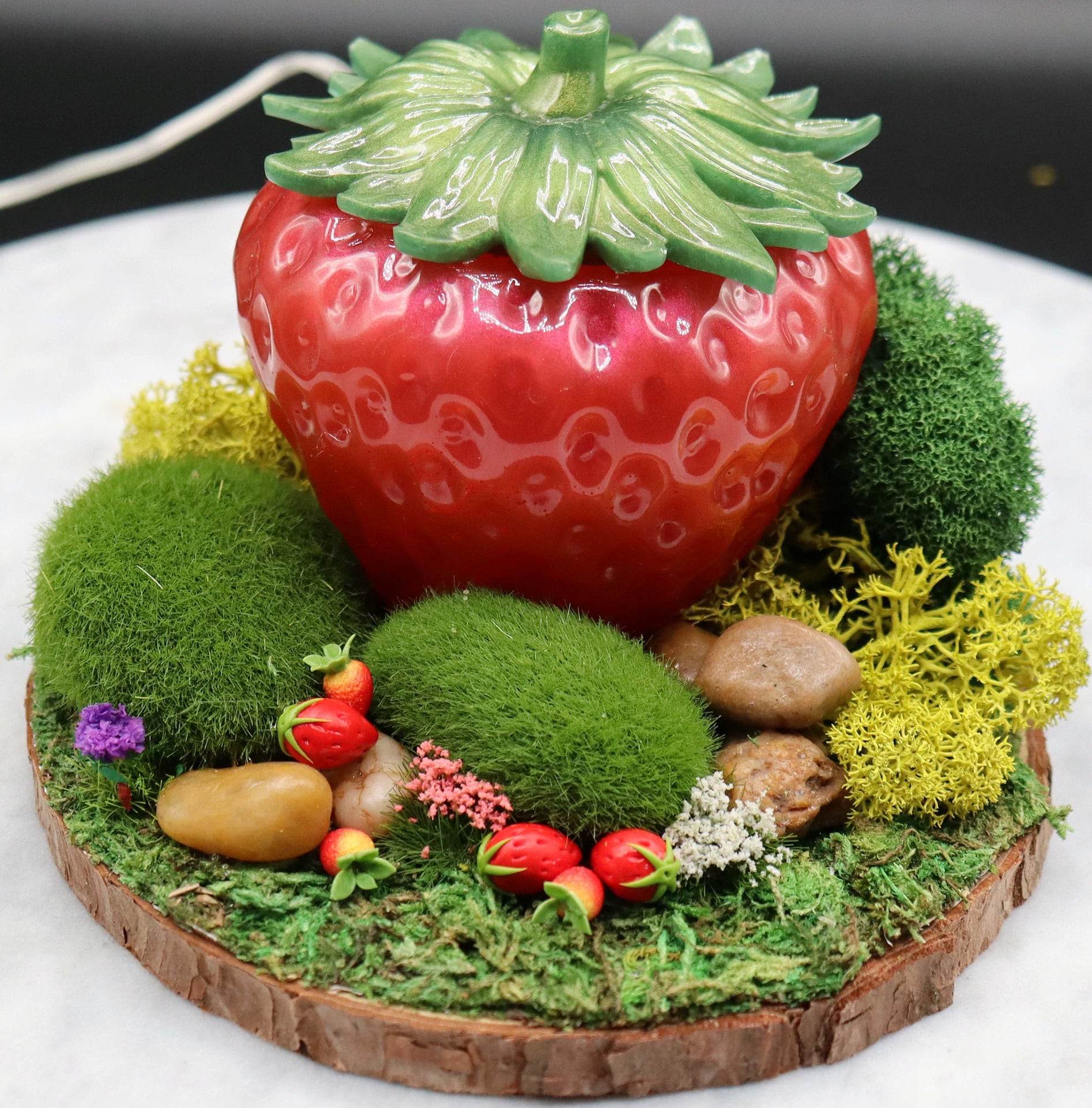Light up Strawberry Mini Garden - Etsy
