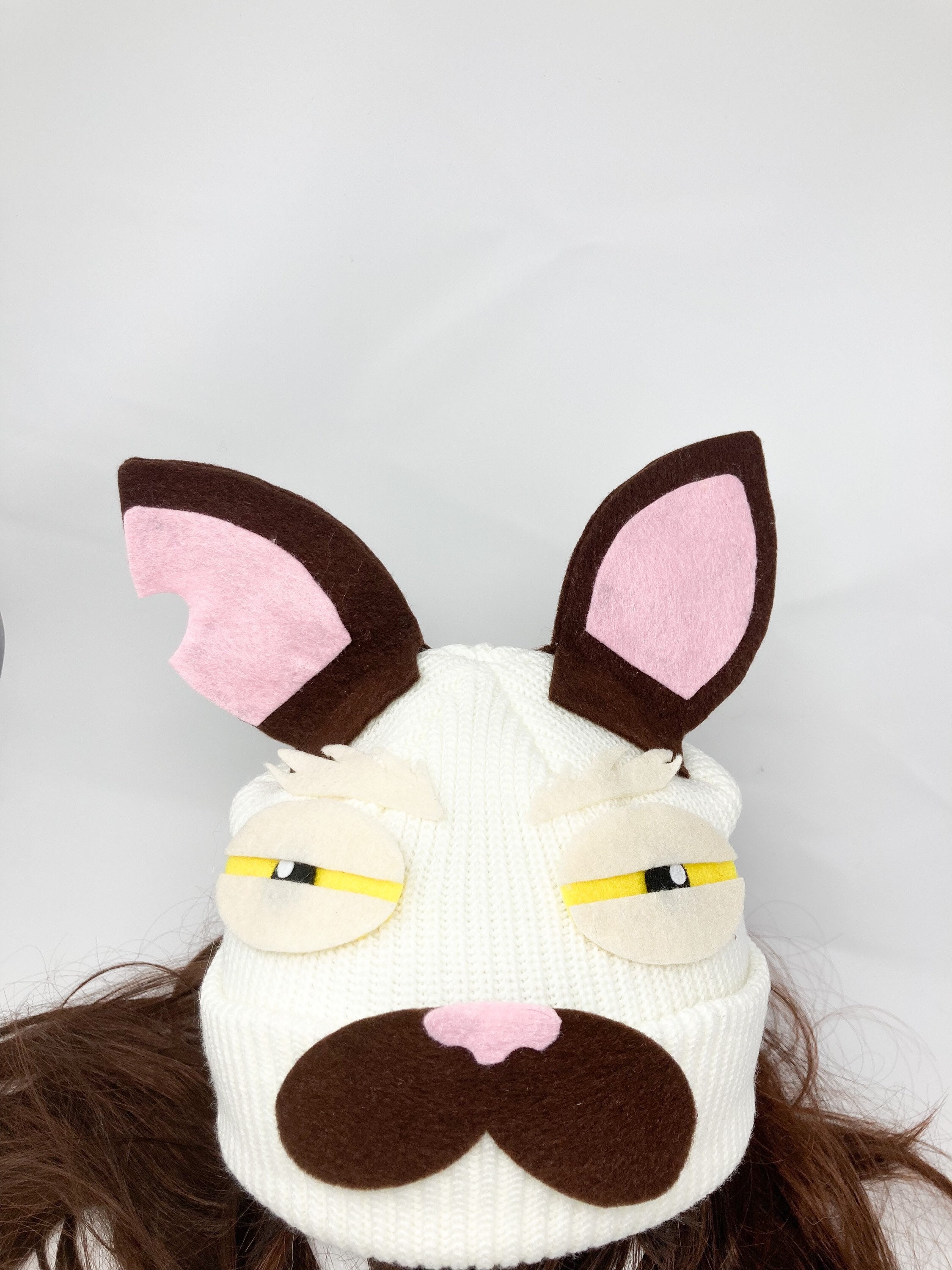 Rabbids Invasion Costume