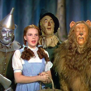 Wizard of Oz Tin Man's Deluxe Testimonial Heart Art-prop With a Real ...