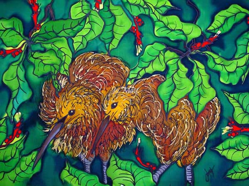 NZ Kiwi Bird Beautiful Art Print by New Zealand Artist Jo - Etsy