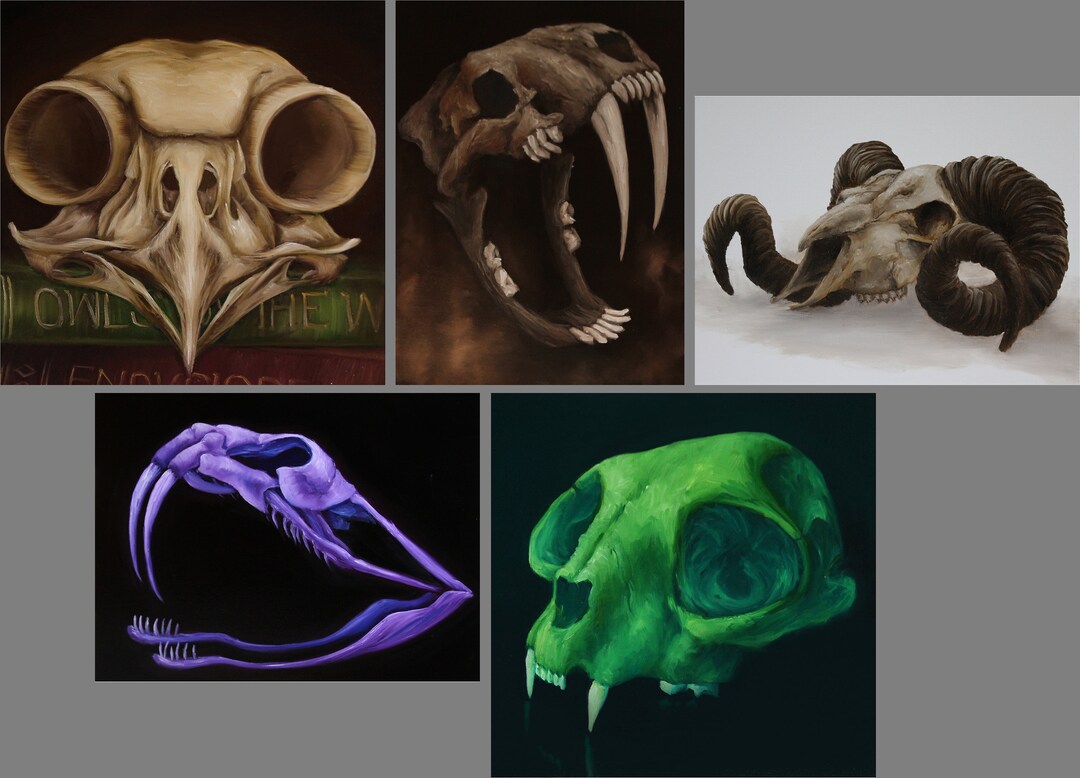 3x4", 4x4" Magnet Skull Skeleton Animal Skull Art Print Refrigerator ...