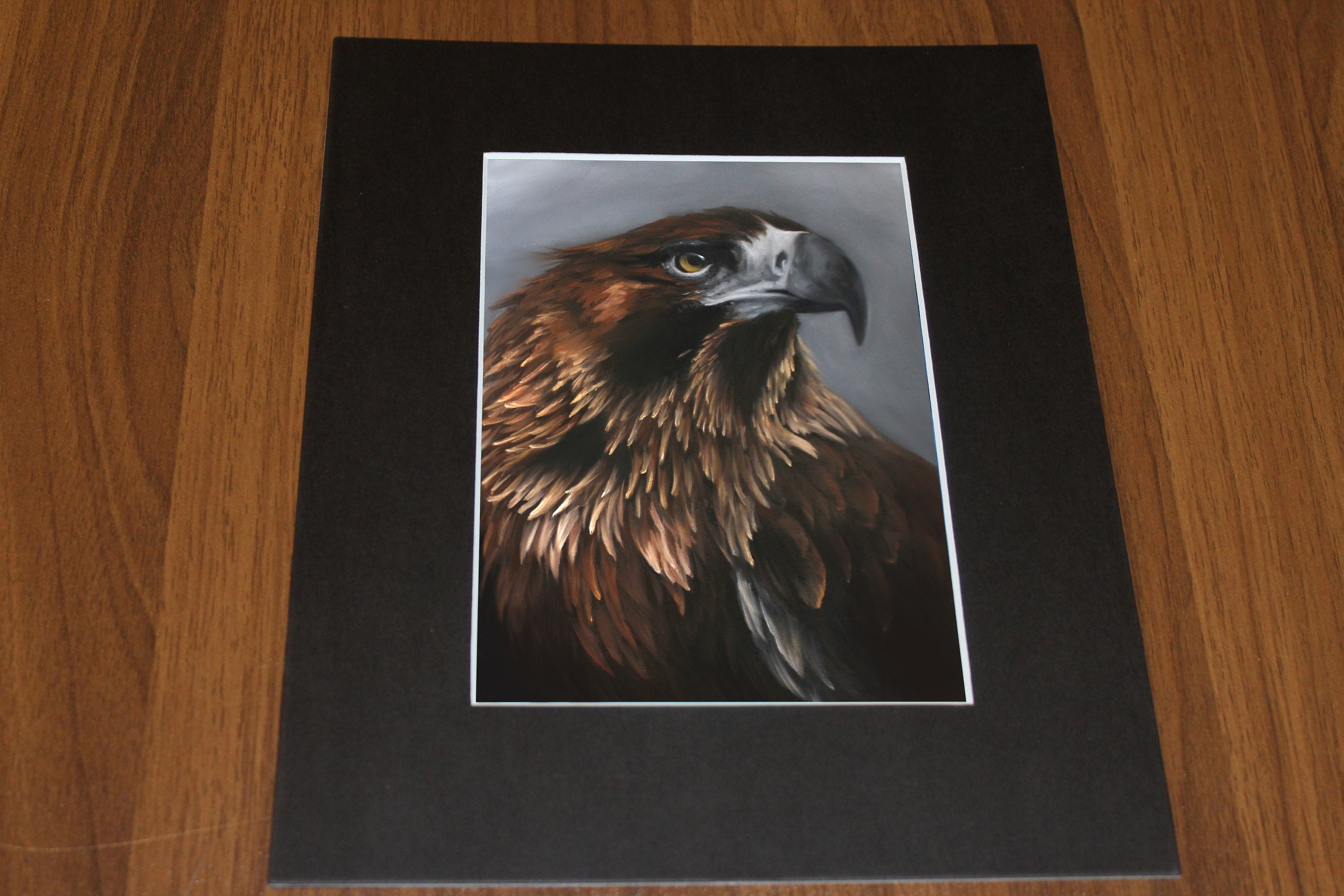 Art PRINT Wedge-Tailed Eagle Bird Hawk Brown Hunting Birds | Etsy