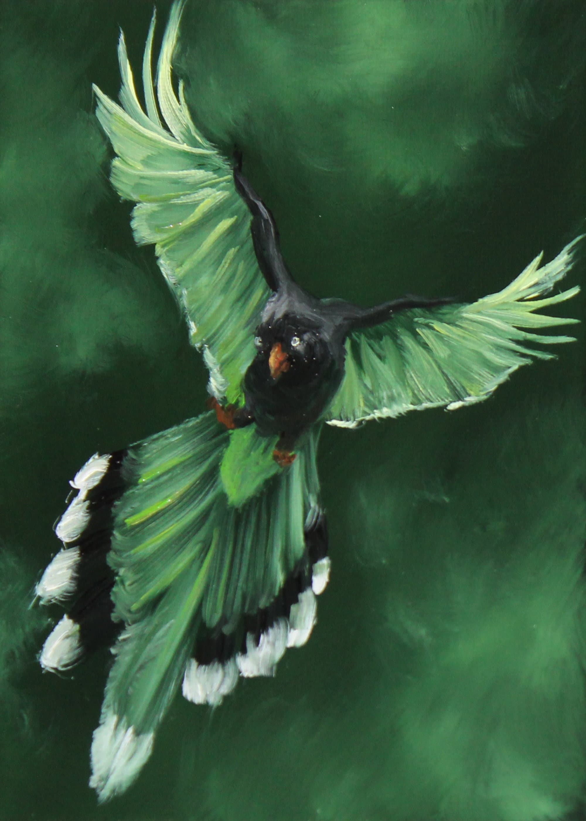 3x4" Magnet Bird Birds Ornithology Owl Raven Crow Eagle Hawk Roadrunner ...