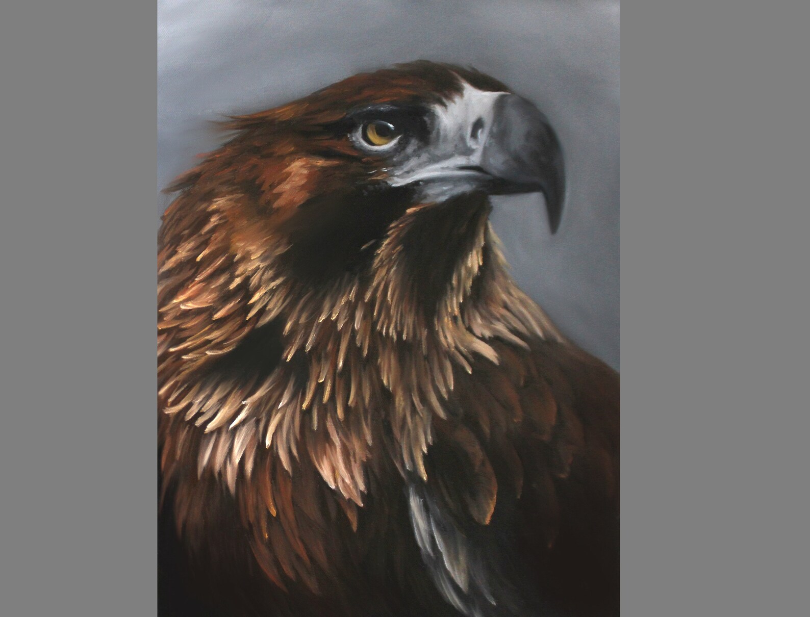 Art PRINT Wedge-tailed Eagle Bird Hawk Brown Hunting Birds - Etsy