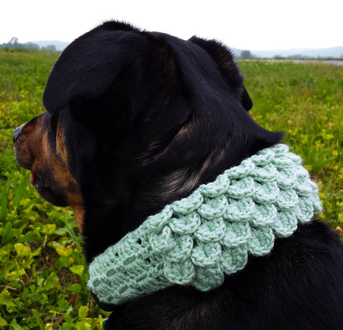 CROCHET PATTERN BUNDLE: Dog Scarf Crochet Pattern 3 Pack Saves Money ...
