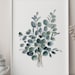 Eucalyptus Bundle, Eucalyptus Watercolor Painting, Eucalyptus Art Print ...