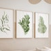 Green Coral Poster, Coastal Style Abstract Wall Art, Modern Art Decor ...