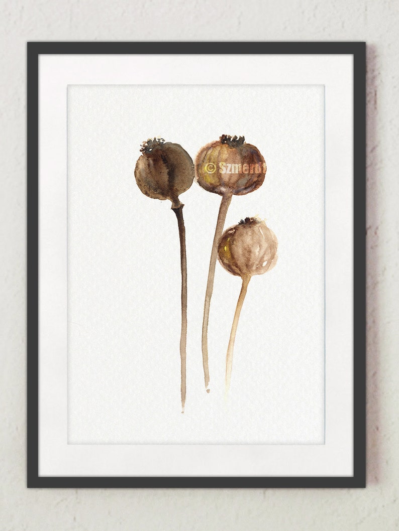 Poppy Head Giclee Art Print Abstract Poppies Minimalist | Etsy