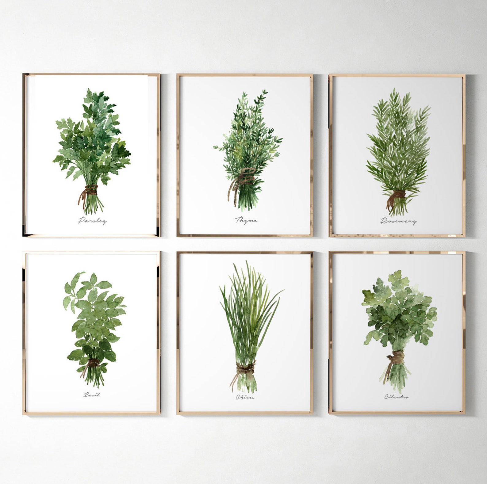 Kitchen Prints, Herbs Kitchen Gallery, Kitchen Wall Art, Kitchen Decor ...