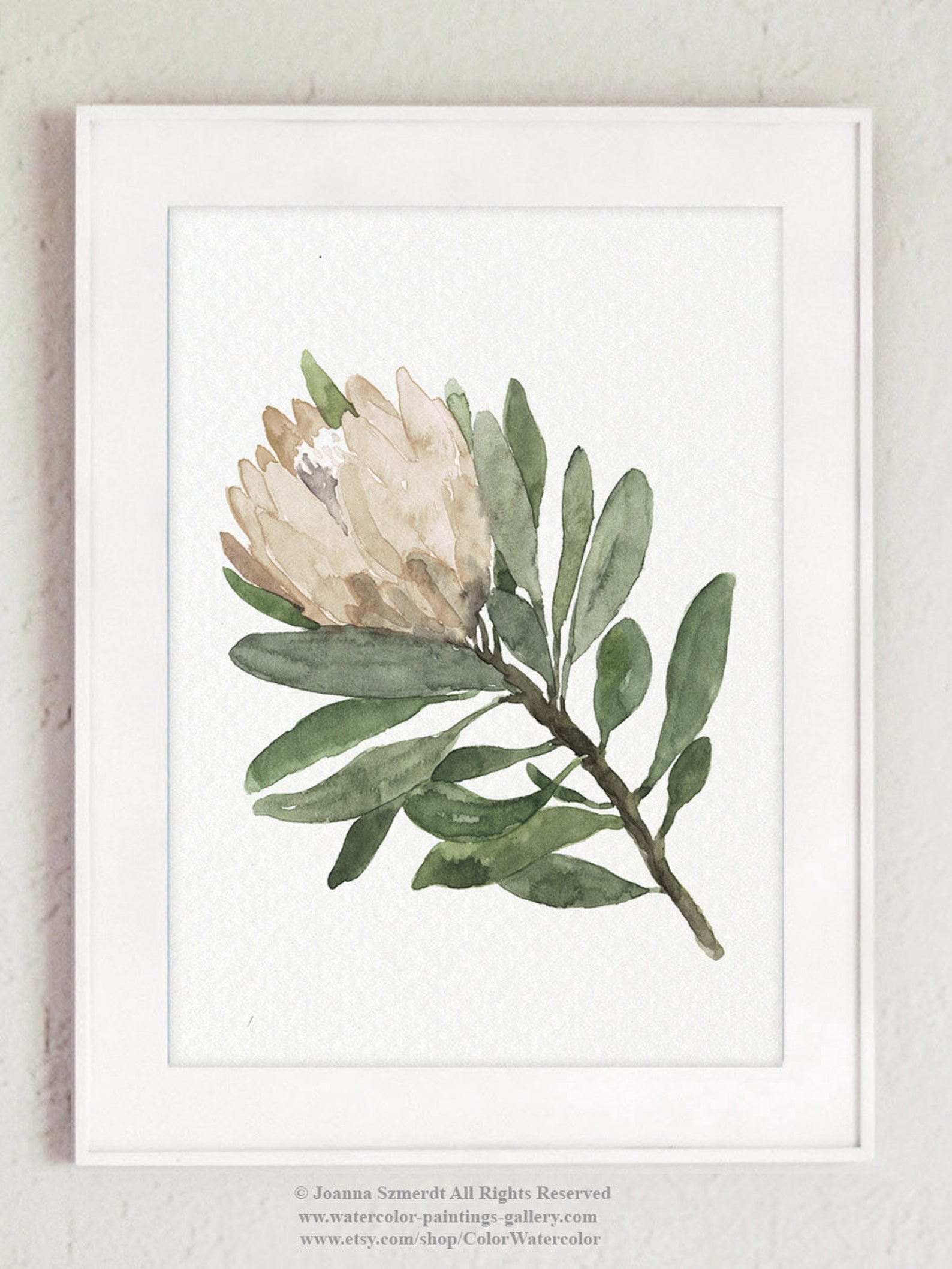Protea Flower Botanical Art Print 3 Flowers Set Gifts Wall - Etsy