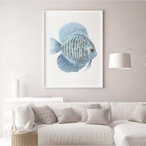 Exotic Fish Wall Art Blue and Gray - Etsy