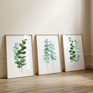 Set of 3 Eucalyptus, Watercolor Painting, Botanical Illustration ...