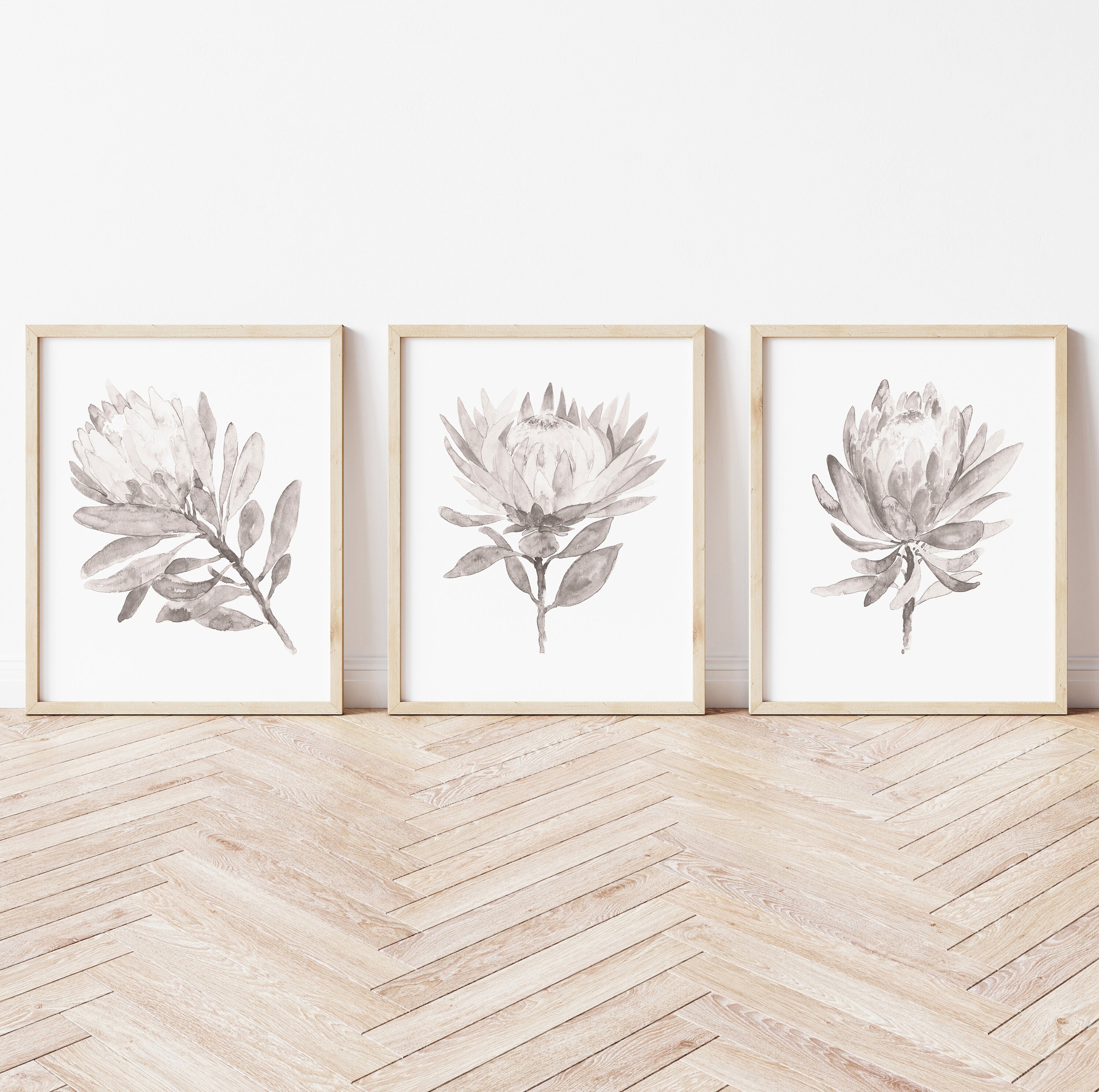 Protea Wall Decor Light Sepia Set of 3 Protea Prints, Protea Wall Art ...