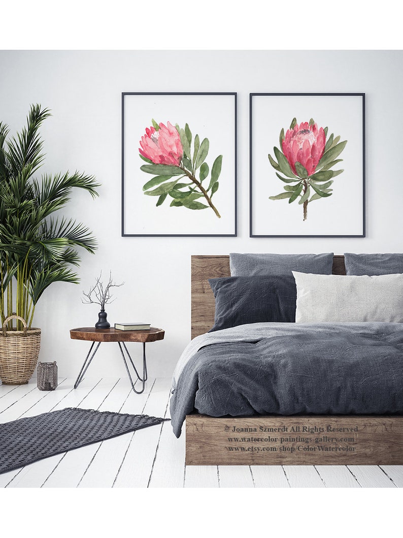 Protea Flowering Plant Art Print Pink Flower Green Leaves Set | Etsy
