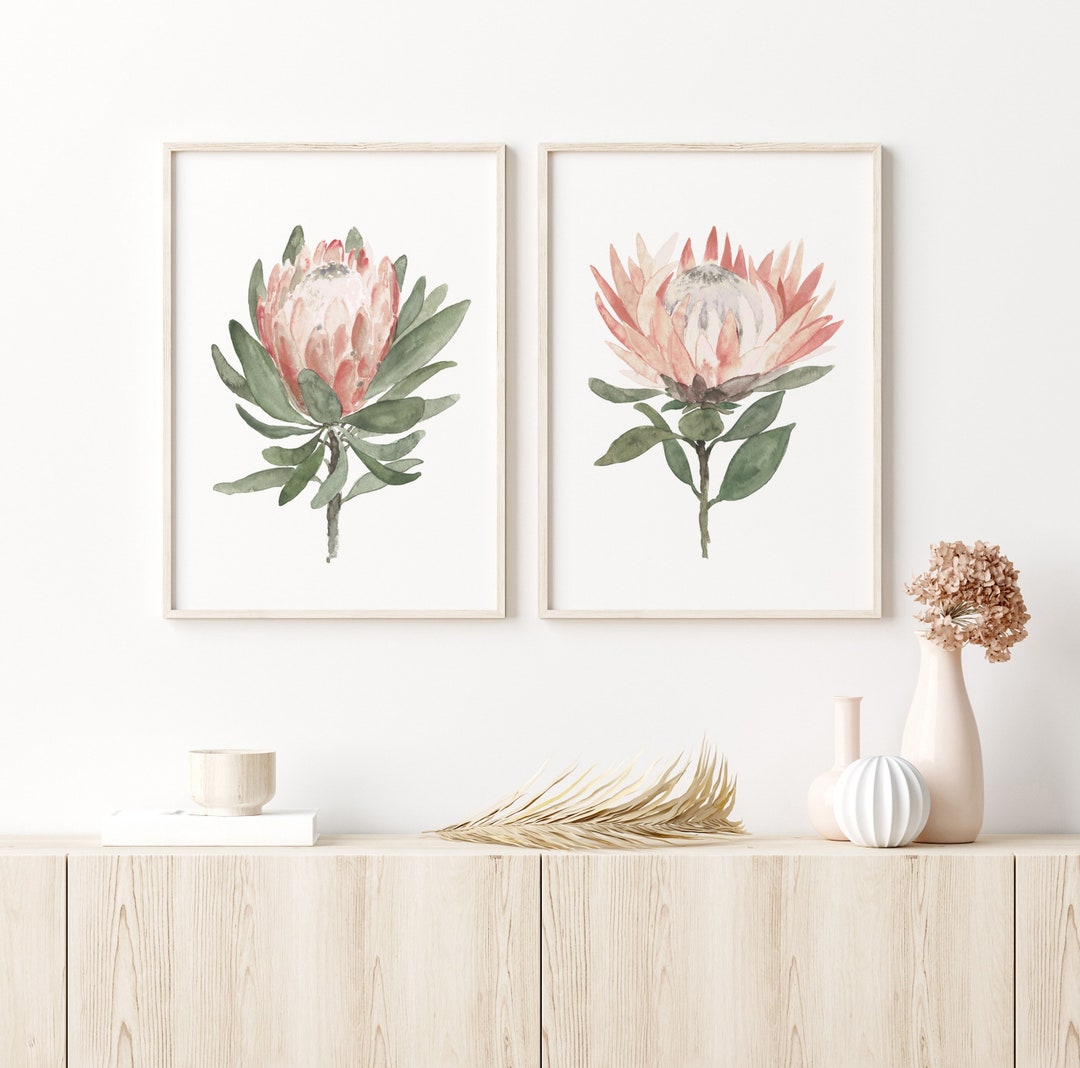 Extra Large Protea Art Print - Room Decor Native Flowers Canvas, Coral ...