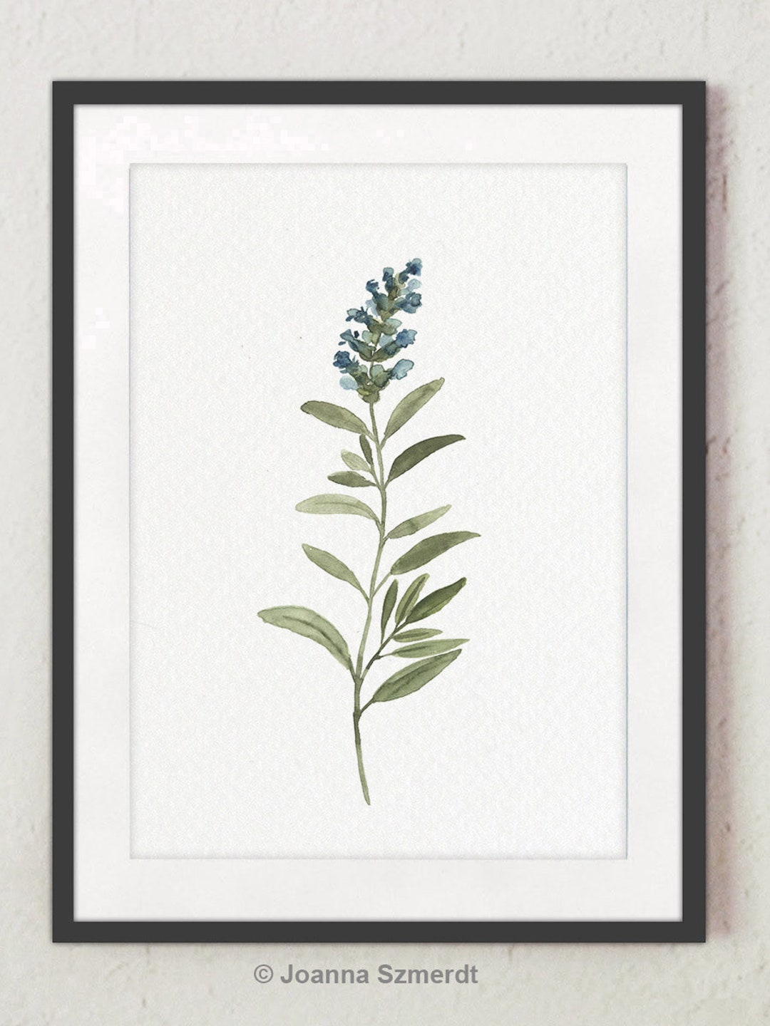 Sage Art Print, Sage Painting, Herb Kitchen Decor, Sage Blue Flower ...