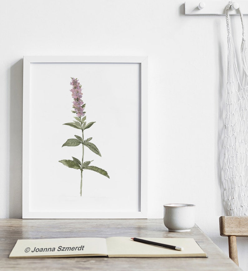 Basil Print Basil Painting Basil Herb Kitchen Art Basil | Etsy