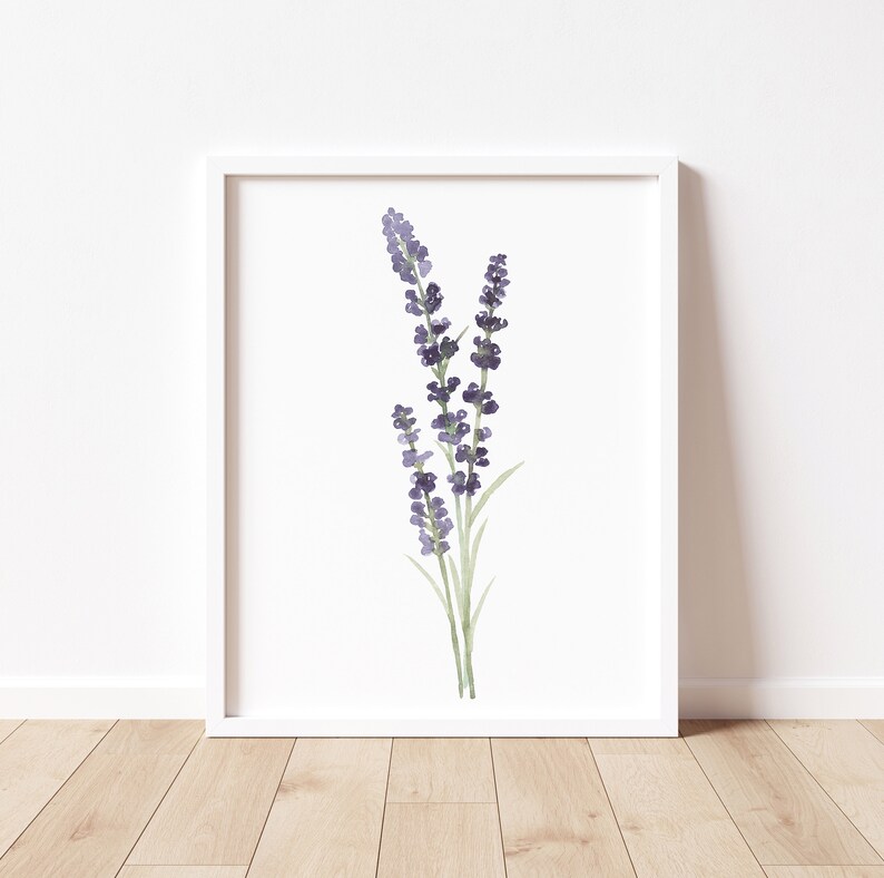 Herb Wall Decor Lavender Home Decor Lavender Art Print - Etsy