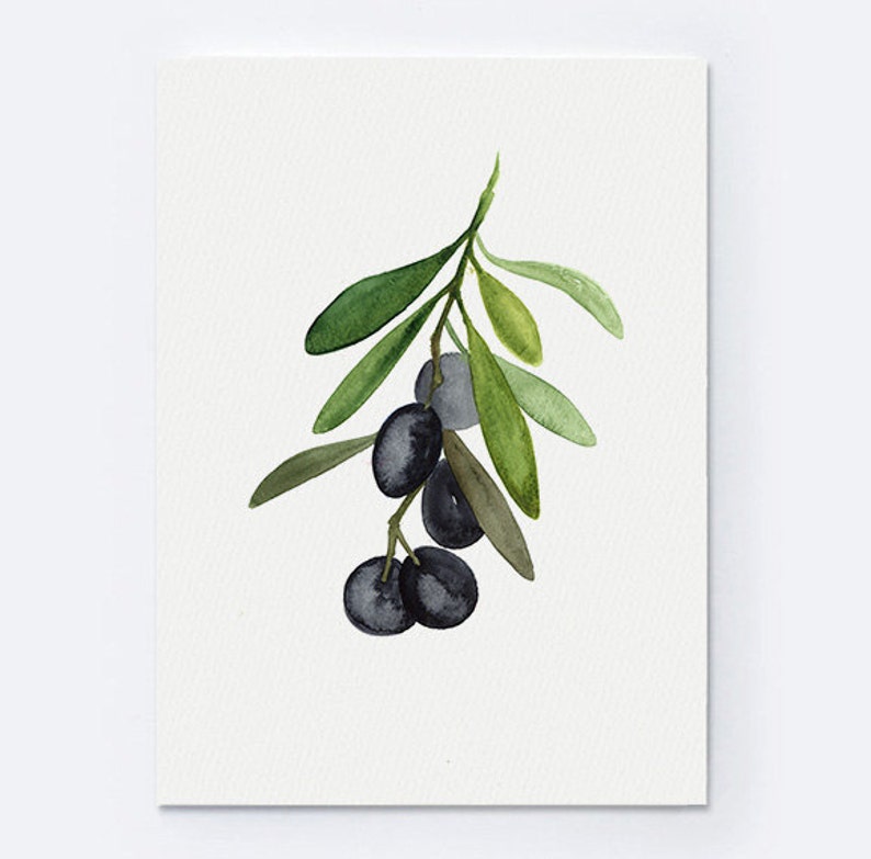 Olive Tree 2 Art Prints Set Black Olive Fruit Print Wall Art - Etsy