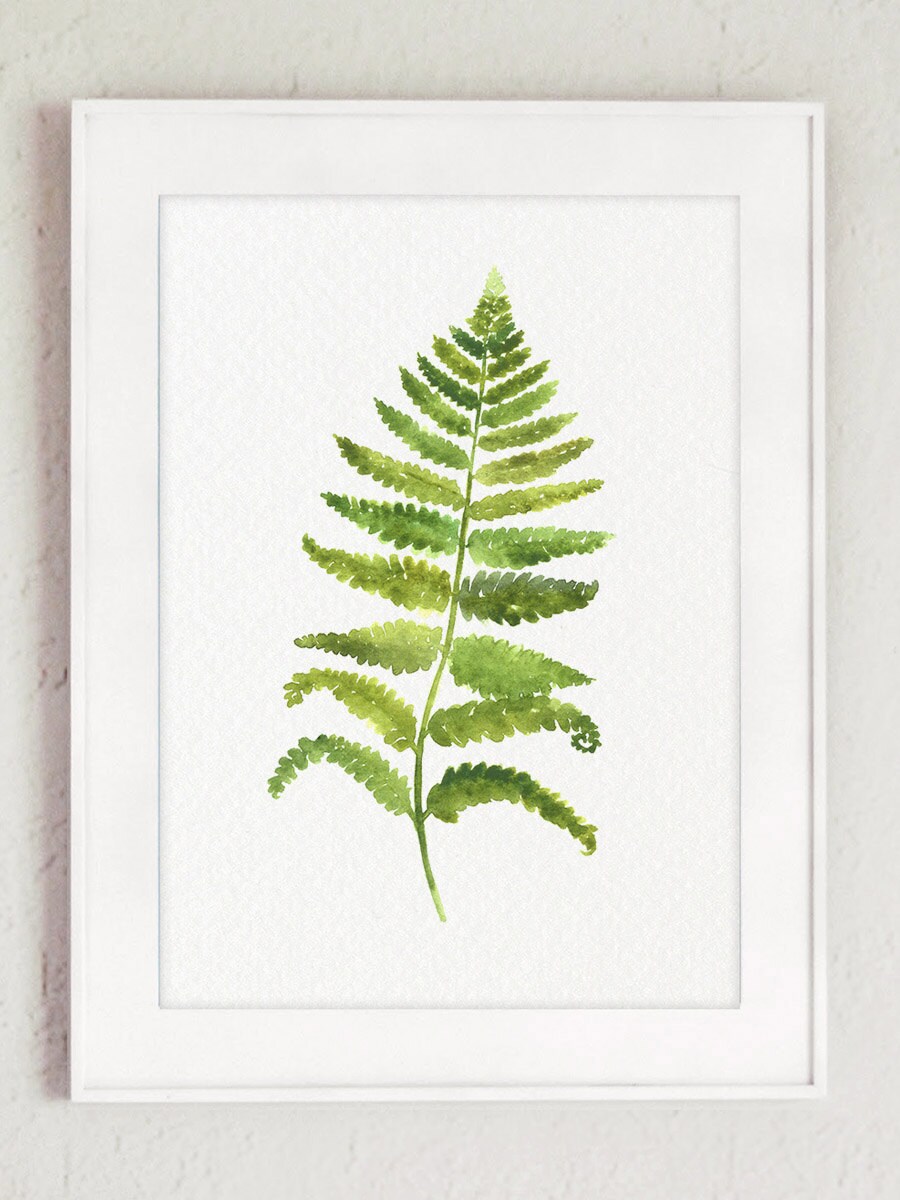 Green Leaves Fern Set of 2 Botanical Art Print Kitchen Print - Etsy