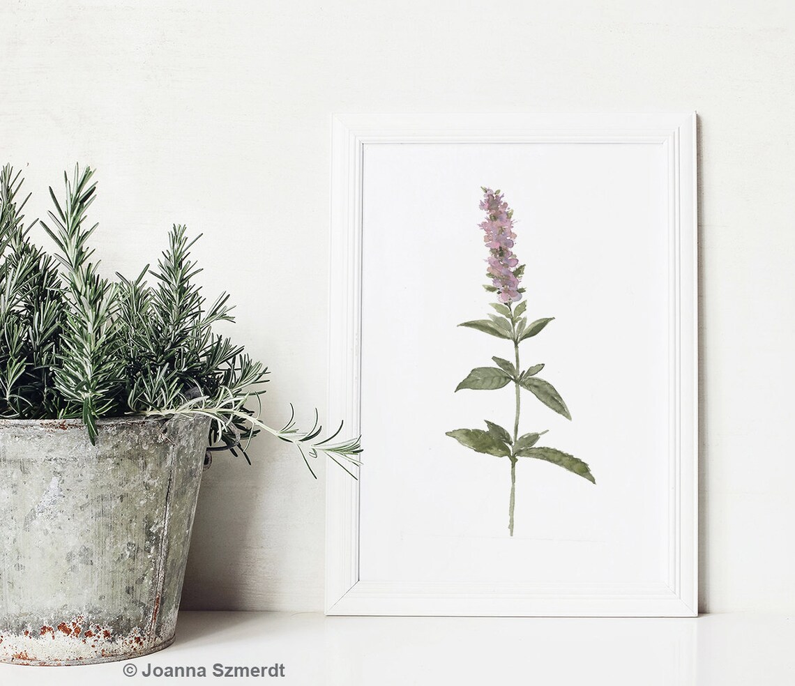 Basil Print Basil Painting Basil Herb Kitchen Art Basil | Etsy