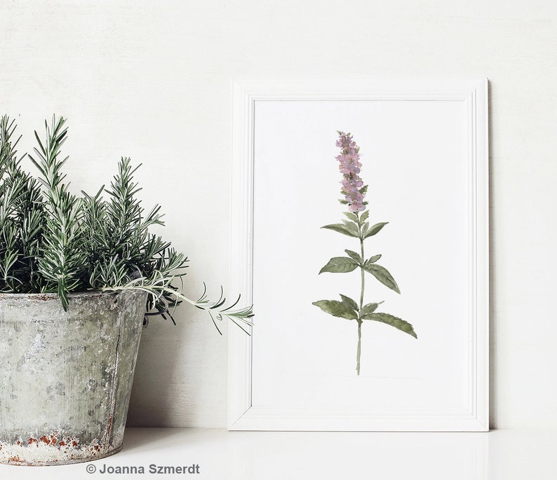 Basil Print Basil Painting Basil Herb Kitchen Art Basil | Etsy