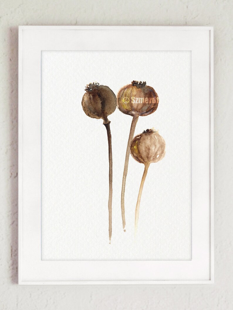 Poppy Head Giclee Art Print Abstract Poppies Minimalist | Etsy
