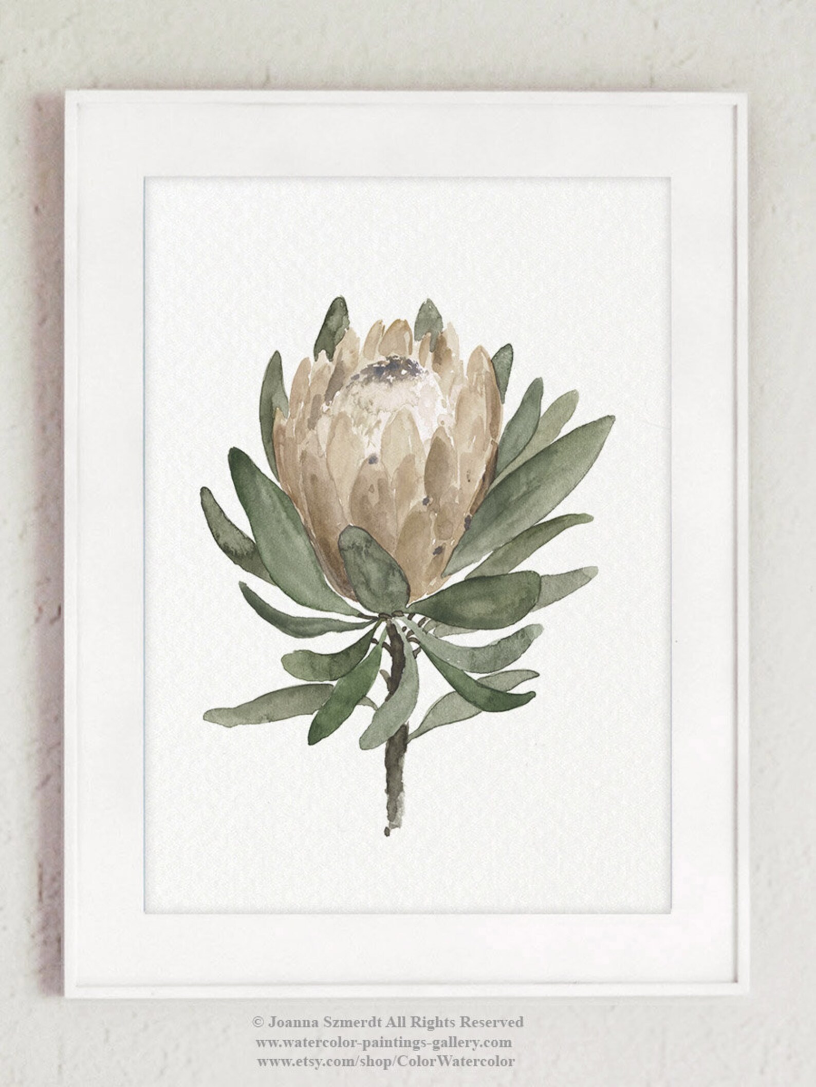 Protea Flower Botanical Art Print 3 Flowers Set Gifts Wall - Etsy