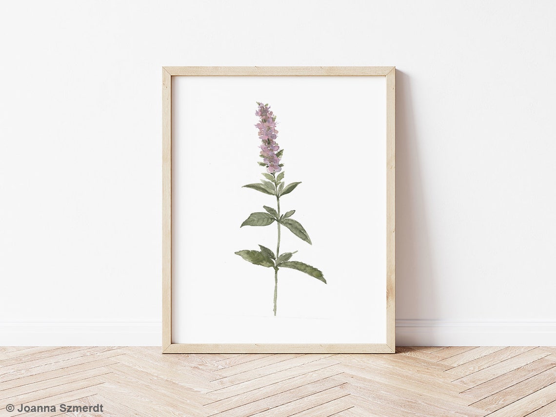 Basil Print Basil Painting Basil Herb Kitchen Art Basil | Etsy