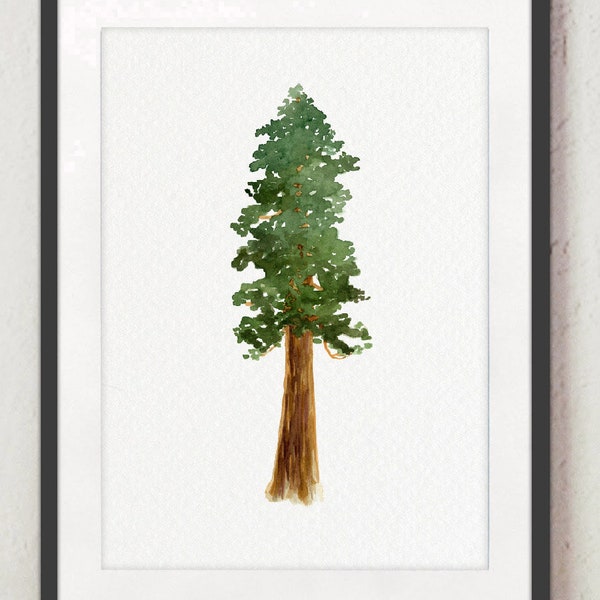 Redwood Tree Art - Etsy