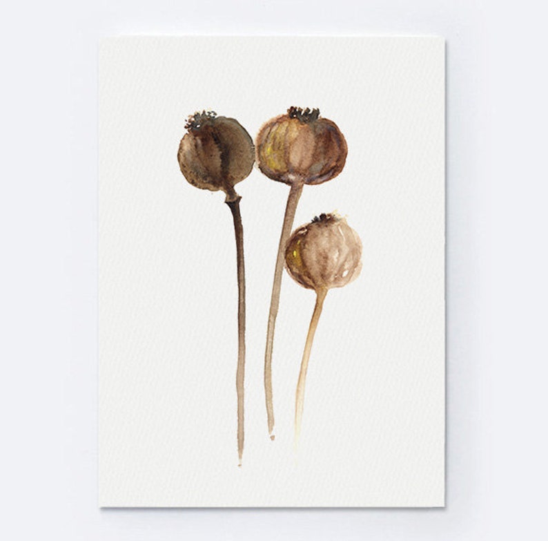 Poppy Head Giclee Art Print Abstract Poppies Minimalist | Etsy