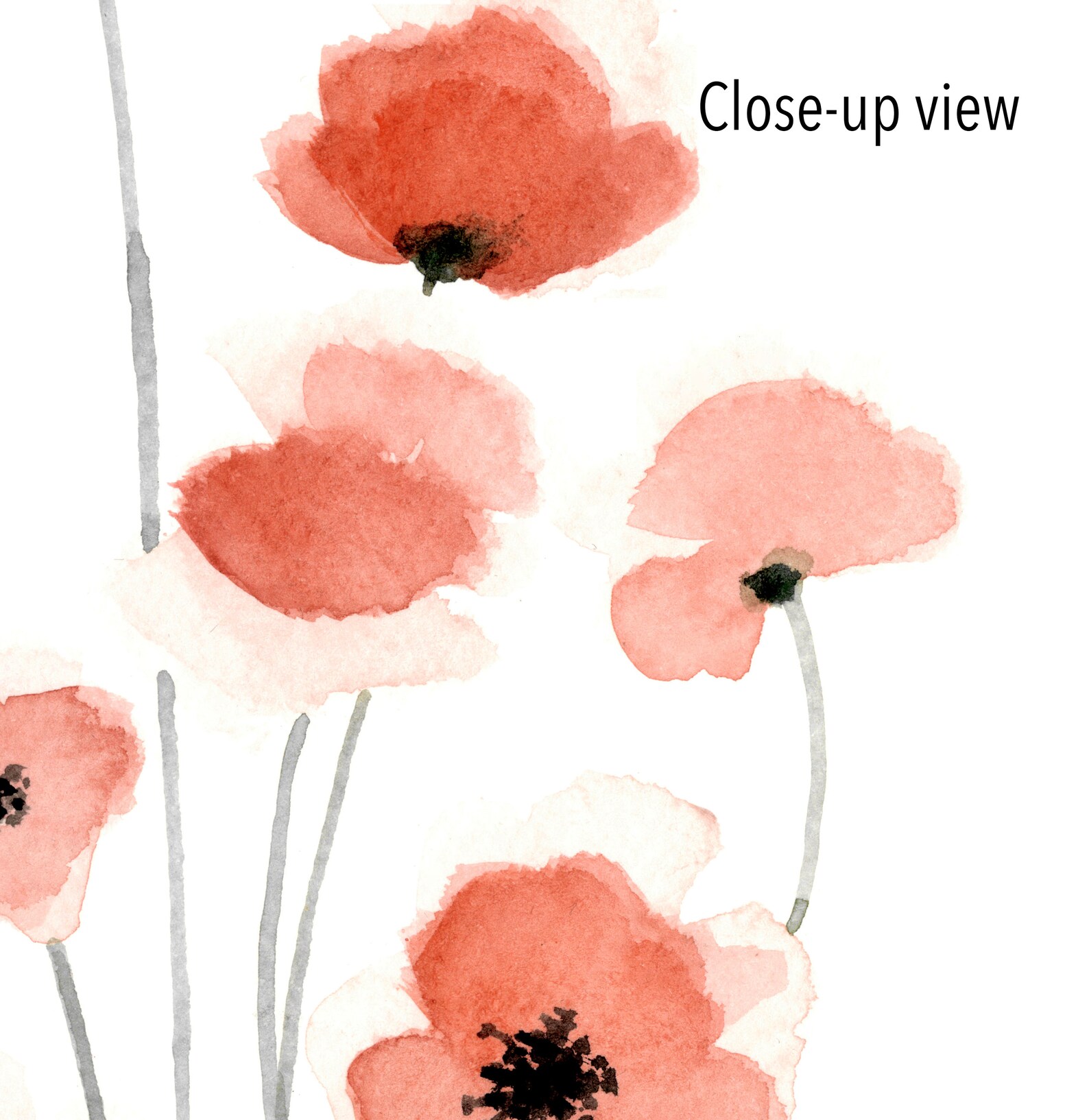 Pastel Red Poppy, Watercolor Artwork, Set of 2 Delicate Flower Art ...