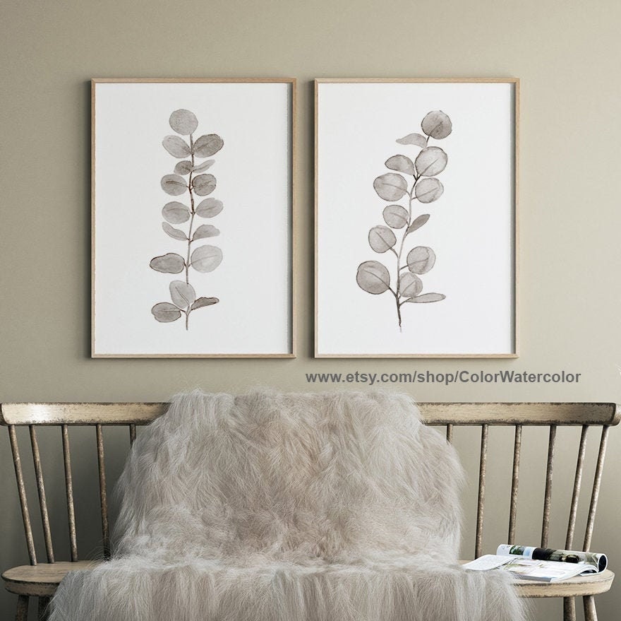 Eucalyptus Plant Silver Dollar Eucalyptus Eucalyptus Leaves | Etsy