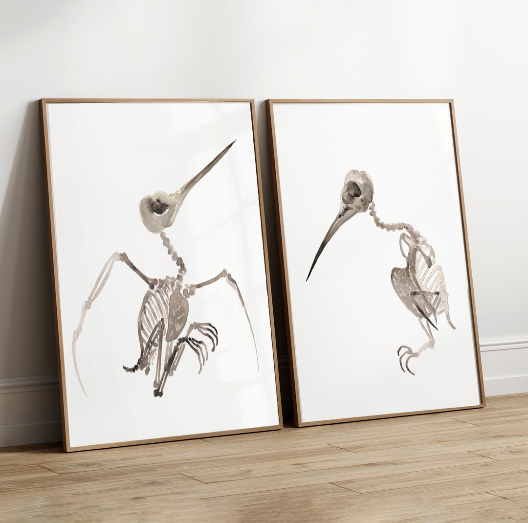Hummingbird Skeleton, Hummingbird Skull Poster, Kids Room Decor, Set of ...