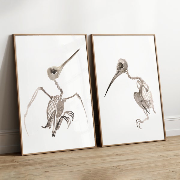 Hummingbird Skull - Etsy