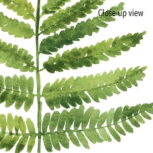 Fern Leaf, Floral Abstract Art Print Set of 2 - Etsy