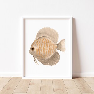 Exotic Discus Fish Beige Wall Art, Aquatic Life Wall Decor Fish Lover ...