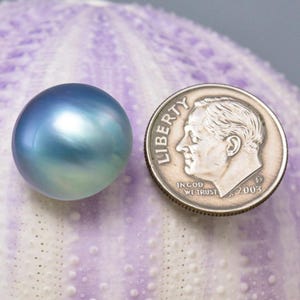Blue Mabe Pearl Lustrous Round 15.06 Mm Cultured in Sumbawa Indonesia 1 ...