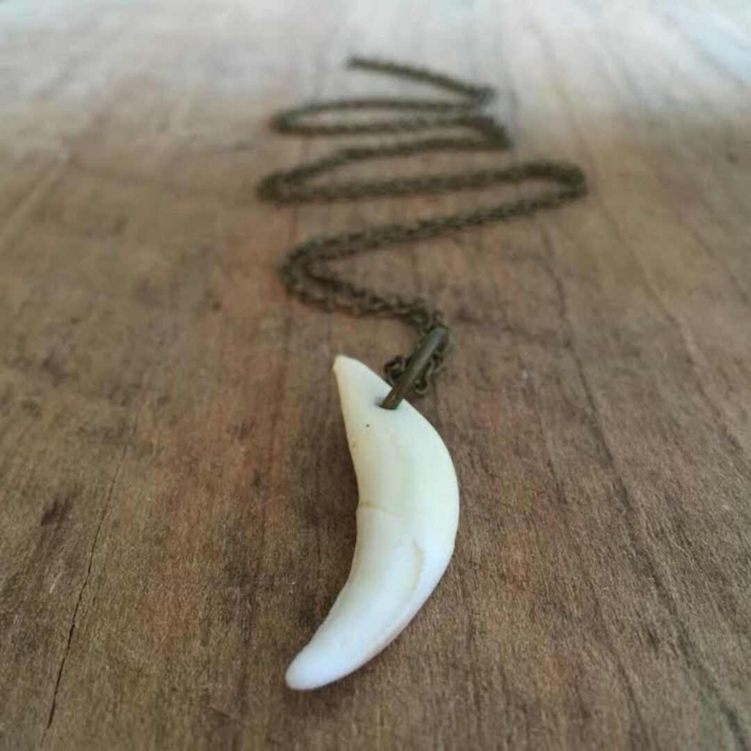 Collar de colmillo de coyote encontrado naturalmente - Etsy México